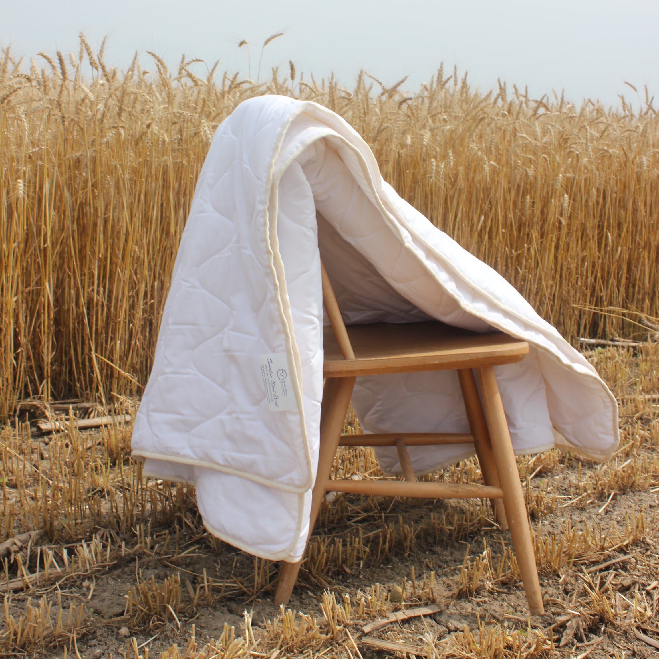 Canadian Wool – Grown, Milled & Enjoyed in Canada! 🍁 – Revolution Wool ...